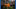 Veteran Australia prop Slipper returns to international rugby for the ...