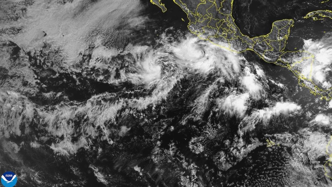 Changes on the way for temporary tags in Arkansas | thv11.com