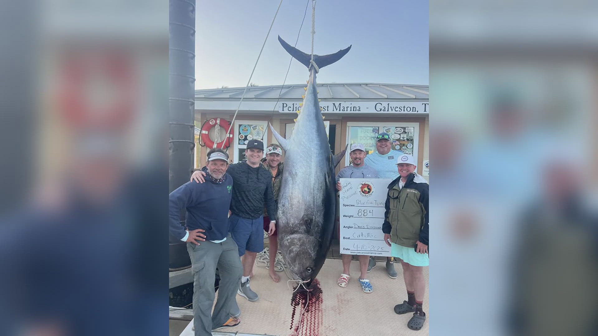 Man hauls in record breaking 884 pound Bluefin Tuna | thv11.com