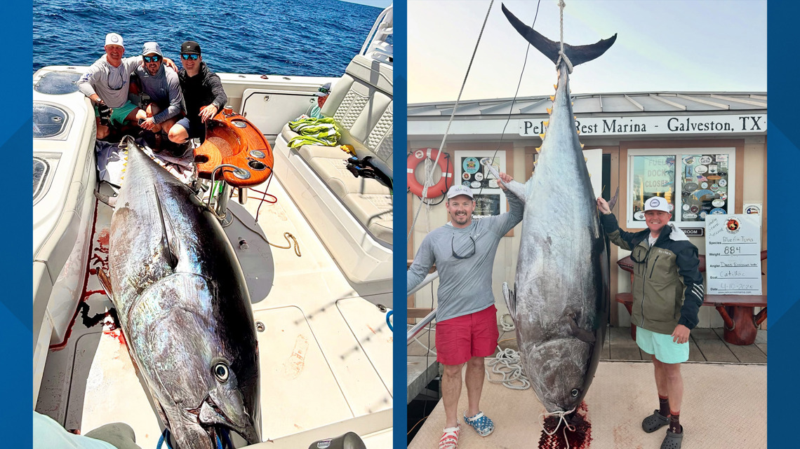 Man hauls in record breaking 884 pound Bluefin Tuna | thv11.com