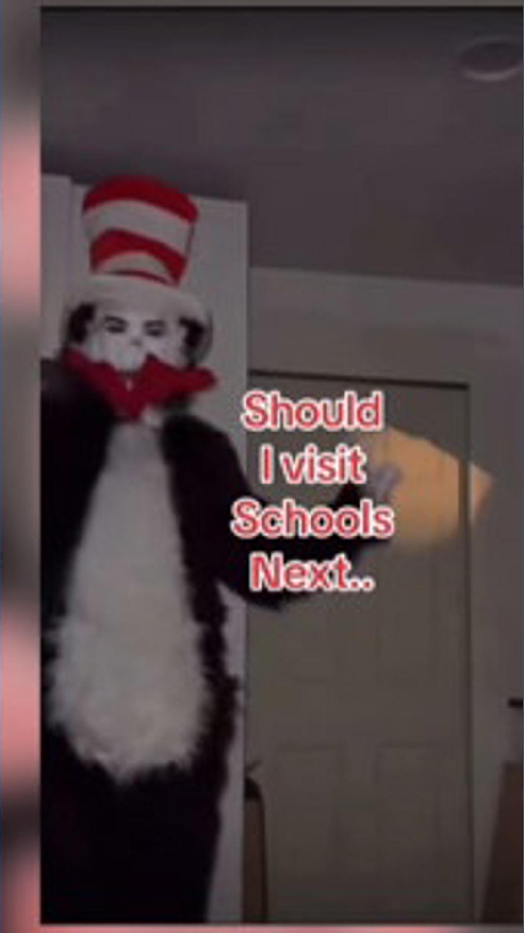 ‘Cat in the Hat’ social media trend prompts school safety concerns in ...