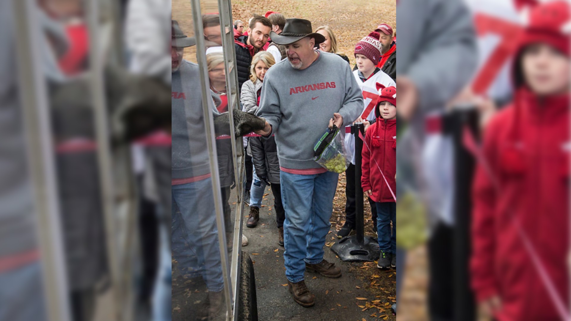 Razorback mascot caretaker has died | thv11.com