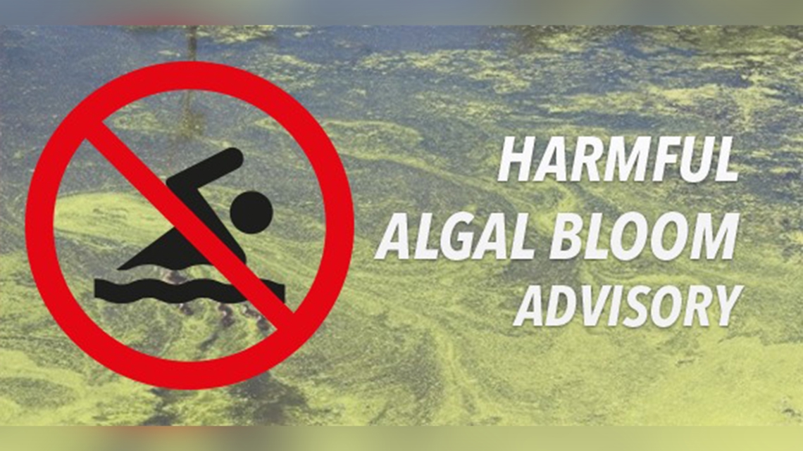 Harmful algal bloom advisory issued in Mattocks Park Pond, Lake June in Arkansas | thv11.com