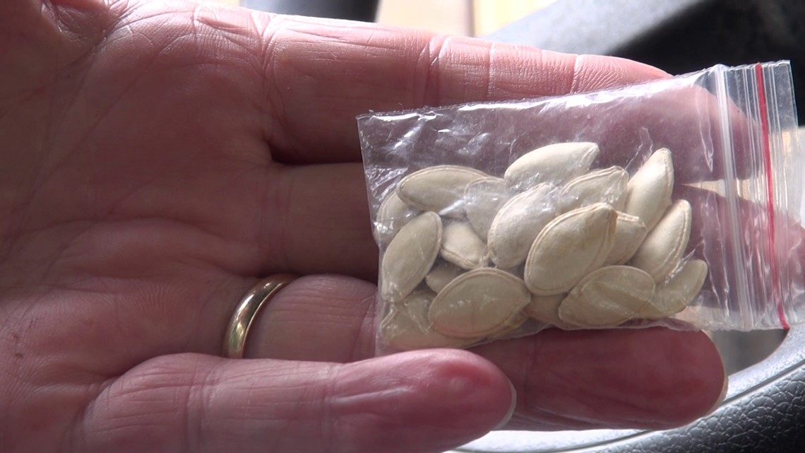Arkansas man plants mysterious seeds from China | thv11.com