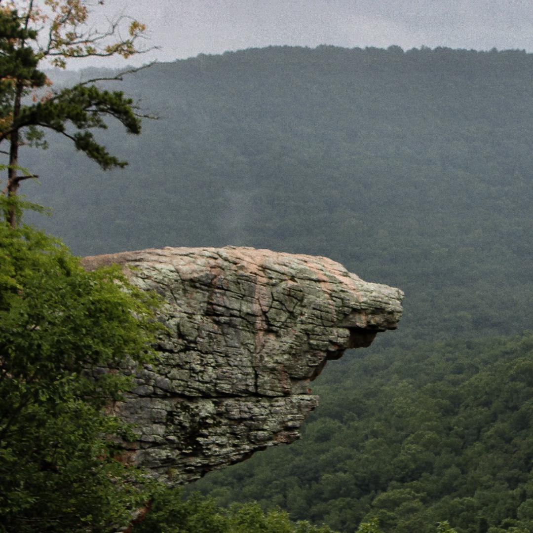 Missing Carroll County girl found dead near Hawksbill Crag | thv11.com