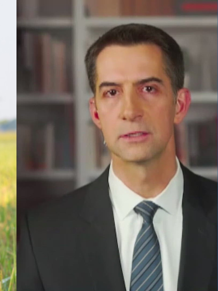 FEC filings: Cotton has raised ten times more money than Shoffner in ...