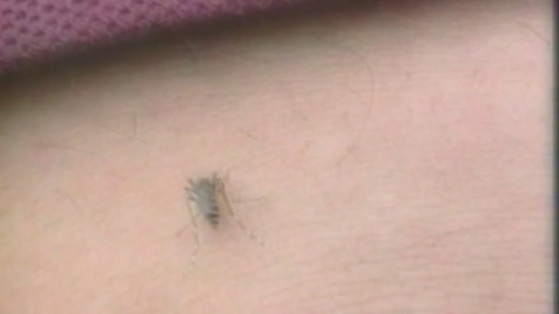 West Nile virus in Missouri: 3 killed, 15 hospitalized | thv11.com