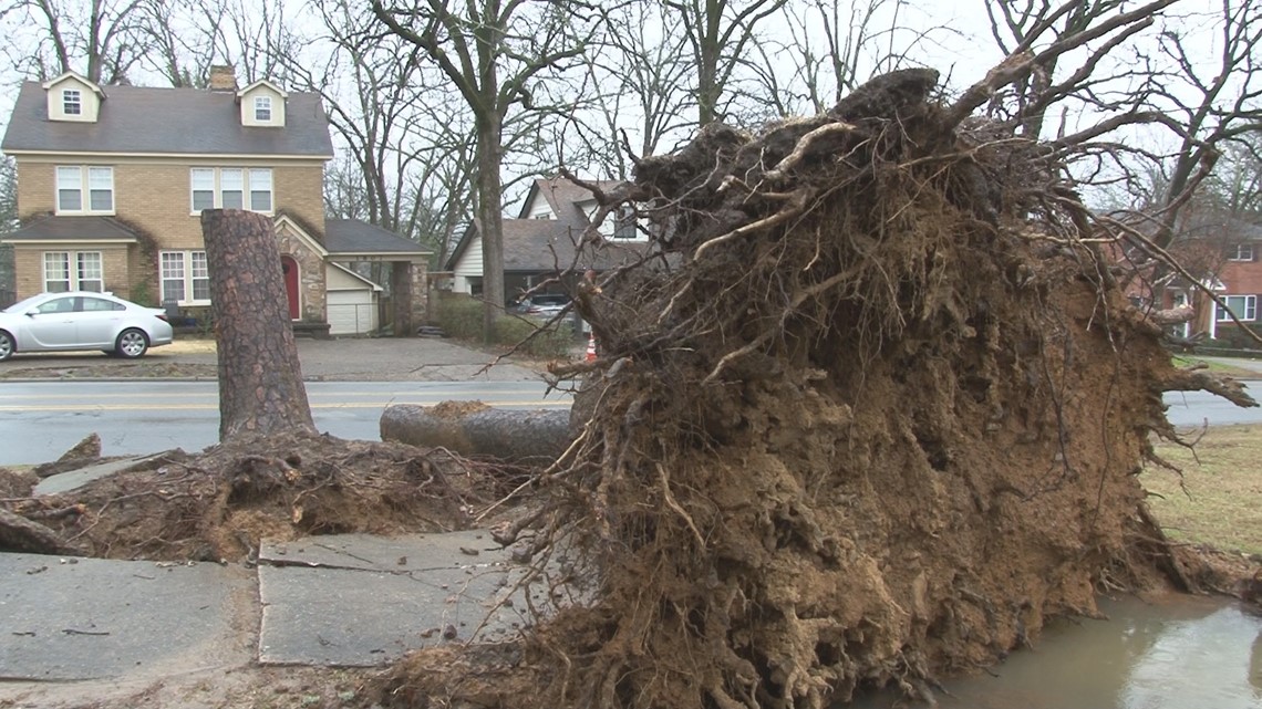 Watch for falling trees, debris as storms move through Arkansas | thv11.com