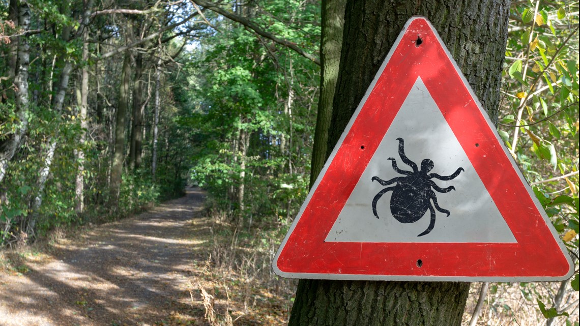 This year may be a worse tick season than usual | thv11.com