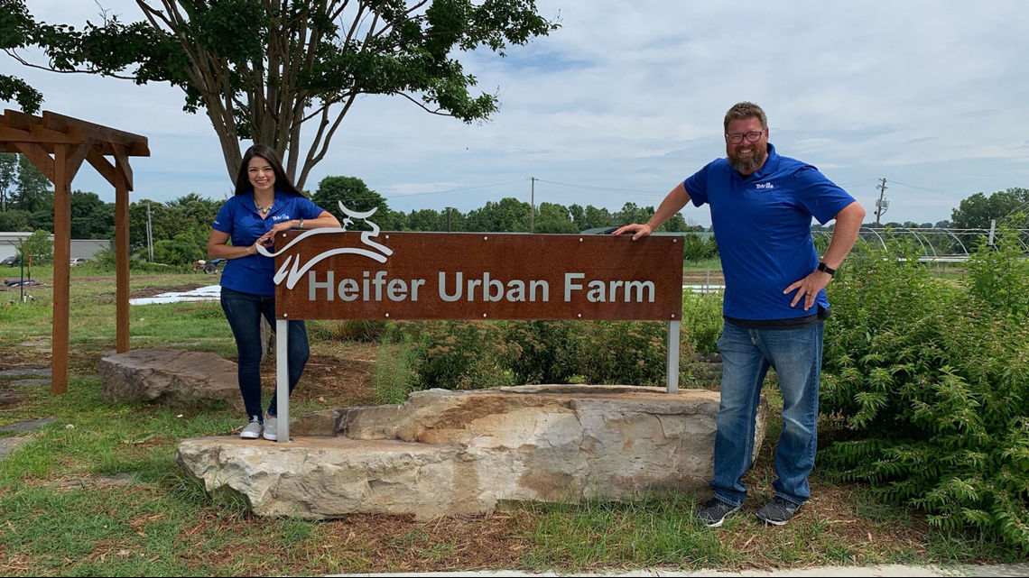 Teach a man to catch a fish, feed him for a lifetime with the help of ...