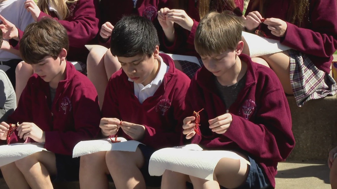 Jurnee Taylor - Journalist Profile - Intelligent Relations