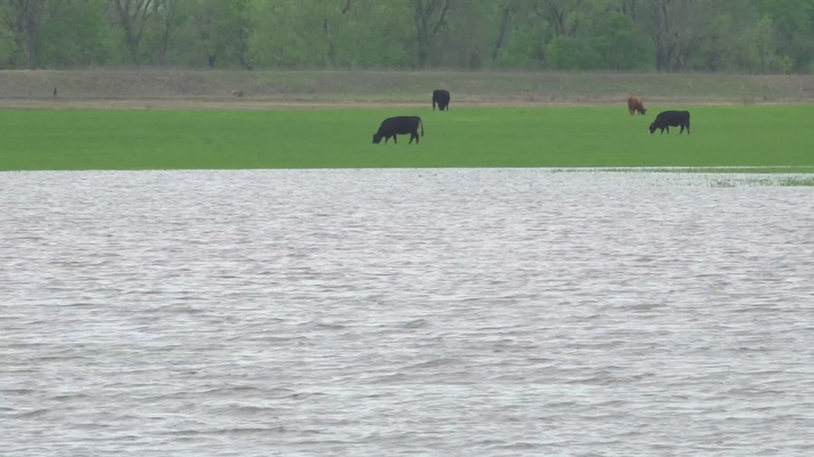 Arkansas severe weather statewide impacts farmers | thv11.com