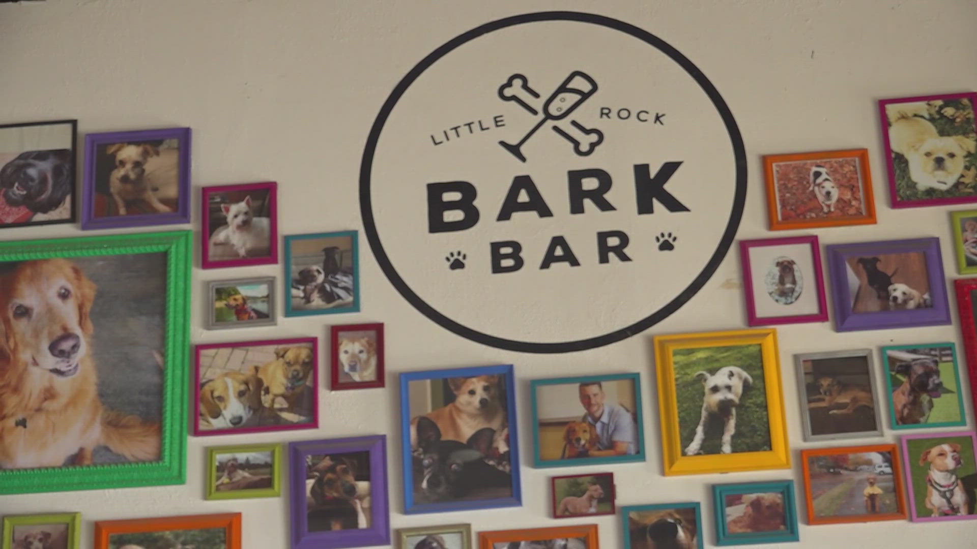 Arkansas businesses join nationwide ICE protest as they reopen after ...