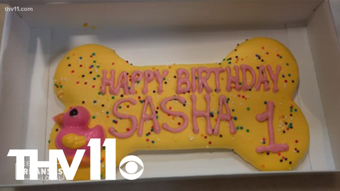 Bow Wow & Meow Bakery & Boutique | Keep Arkansas Local | thv11.com