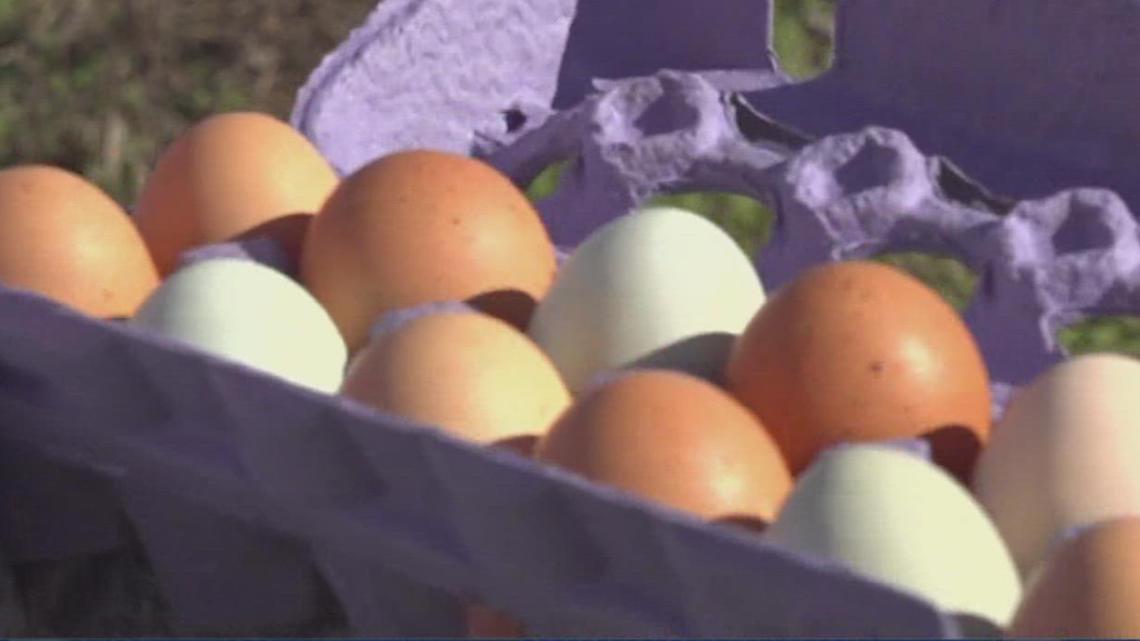 Experts explain why there's an increase in price of eggs | thv11.com
