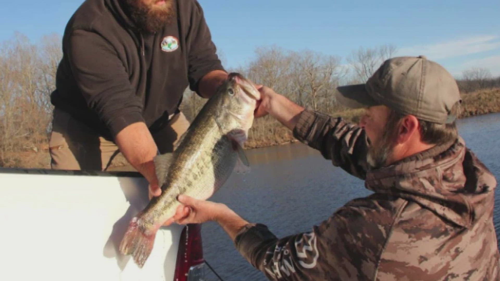 Blast of winter weather hitting Midwest, East Coast and could bring ...