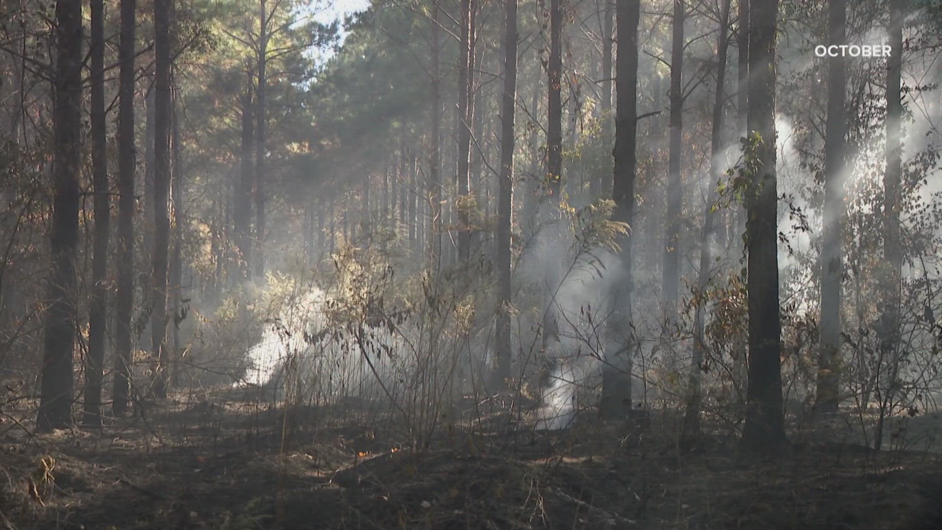 List of the Arkansas counties under burn ban | thv11.com