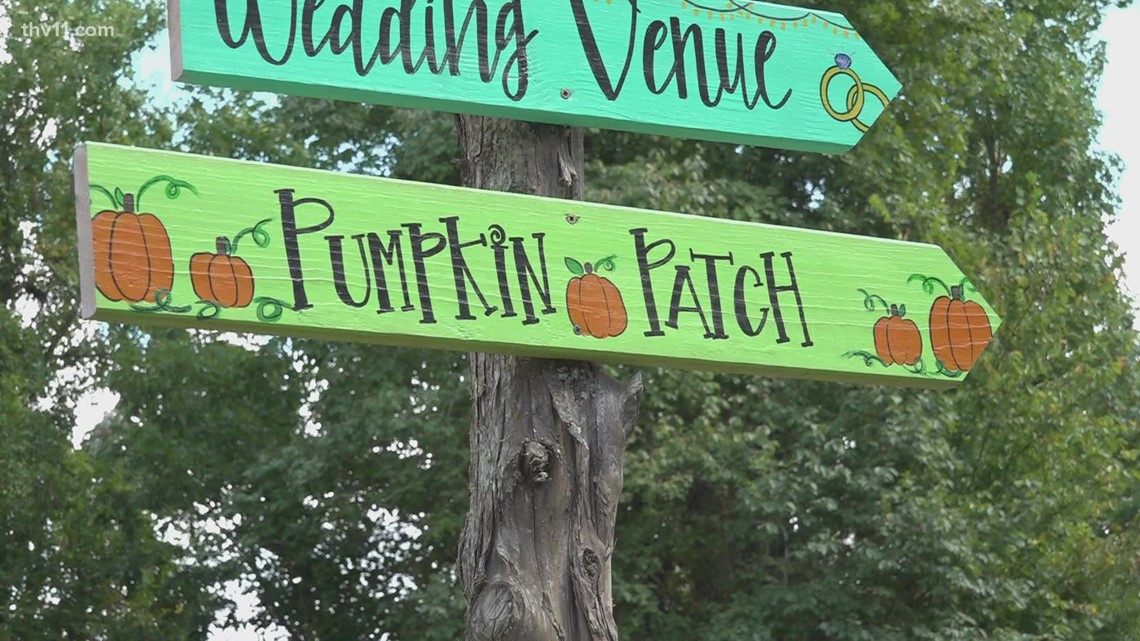 BoBrook farms prepares for Arkansas pumpkin picking season | thv11.com