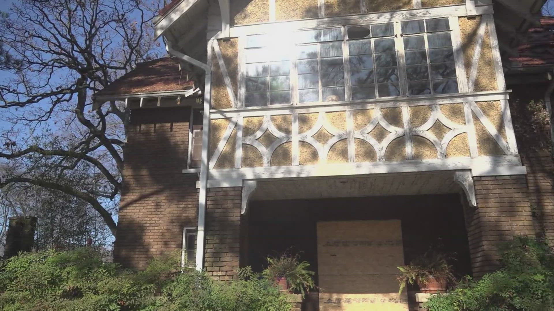 Little Rock Zoo welcomes sloth bear cubs | thv11.com
