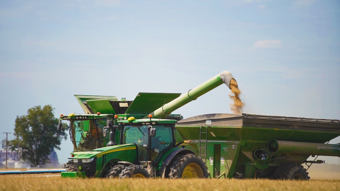 Arkansas produces more rice than any other state in the country | thv11.com