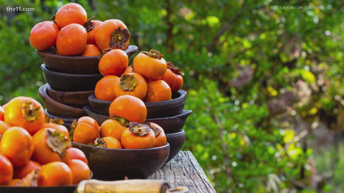 How persimmon seeds have been used in predicting winter | thv11.com