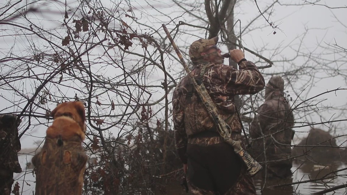 What hunters need to know about Duck Stamp Modernization Act | thv11.com