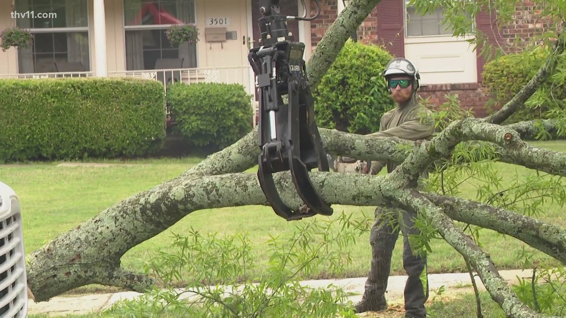 Arkansas tree removal services warn of possible scams | thv11.com