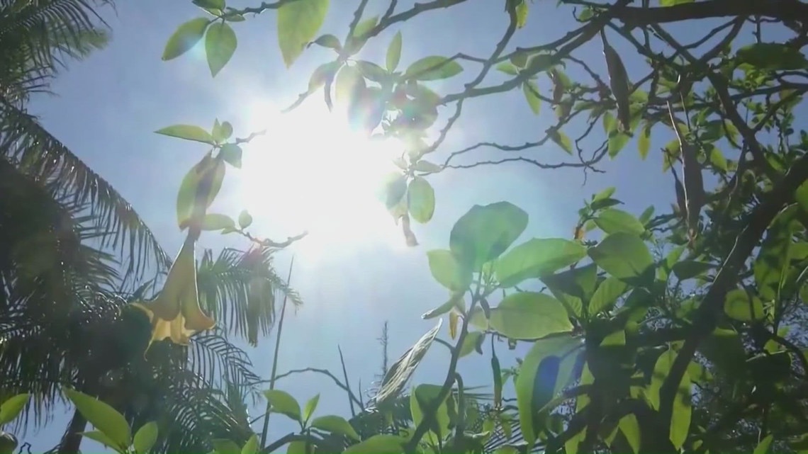 Experts share the warning signs of heat illness | thv11.com
