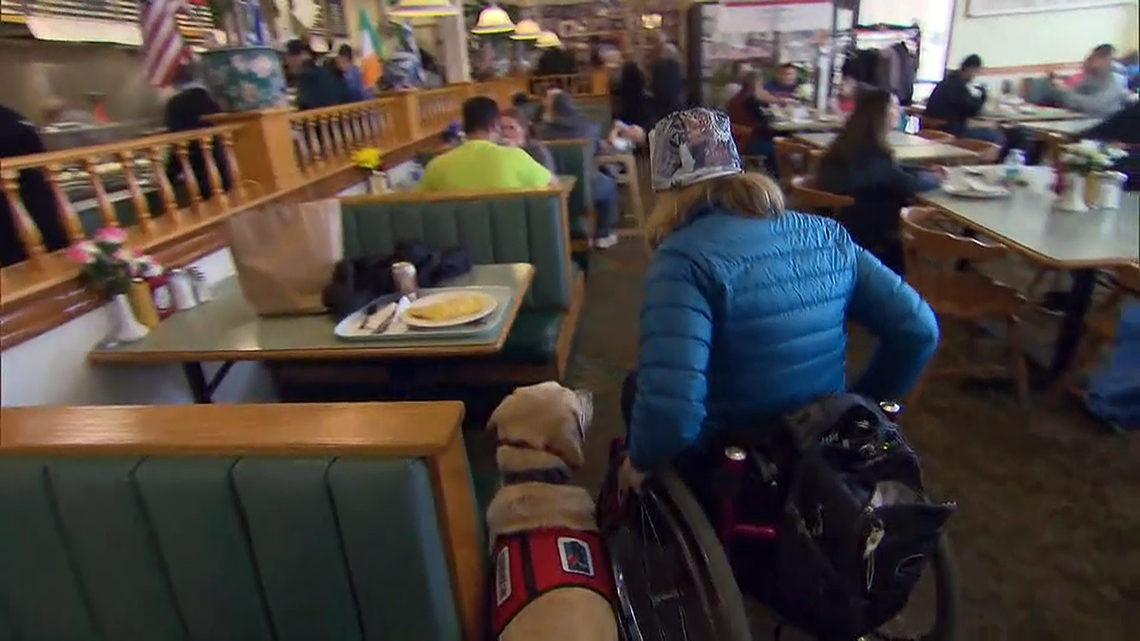 Are there regulations for service animals in restaurants? | 11 Listens ...