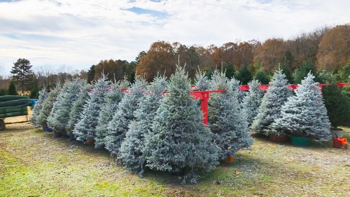 Meteorologist Adam Bowles learns the science behind picking the p ...
