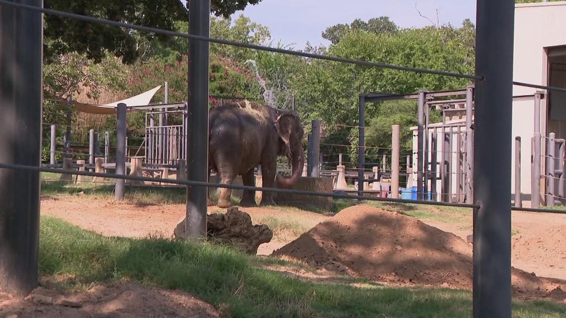 Arkansas zoo shuts down due to heat wave | thv11.com