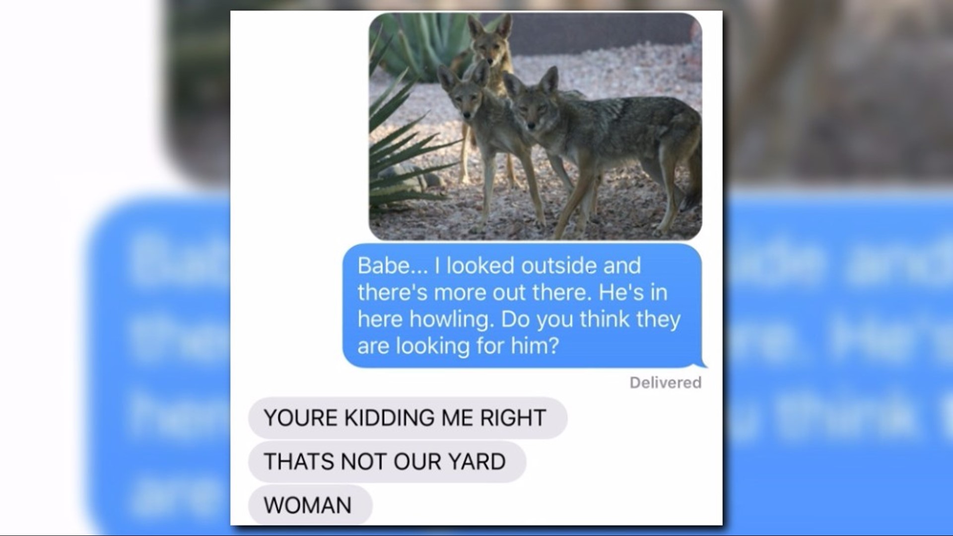 Oregon woman pranks husband with picture of son and coyote | thv11.com