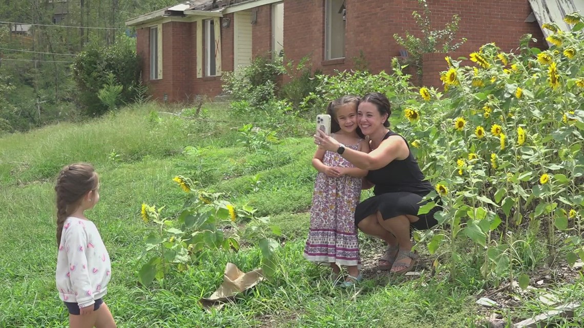 Sunflowers bloom as Little Rock community rebuilds from tornado | thv11.com