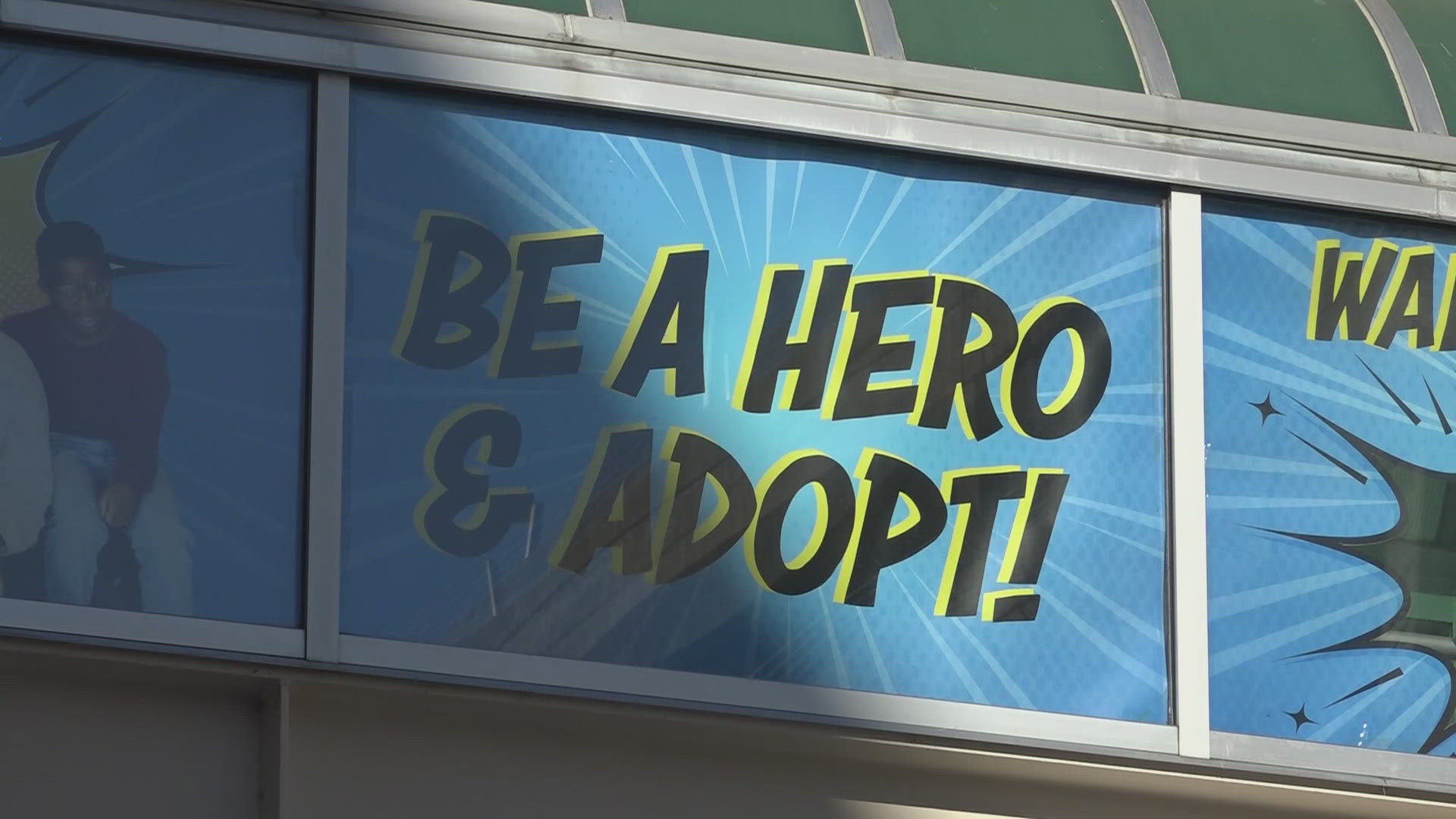 Disney cast member injured preventing 400-pound fake boulder from ...