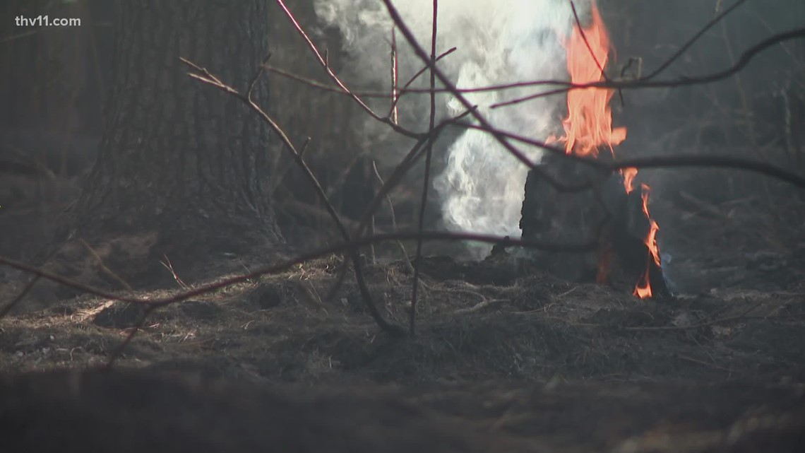 Wildfire burns hundreds of acres in Bradley County | thv11.com