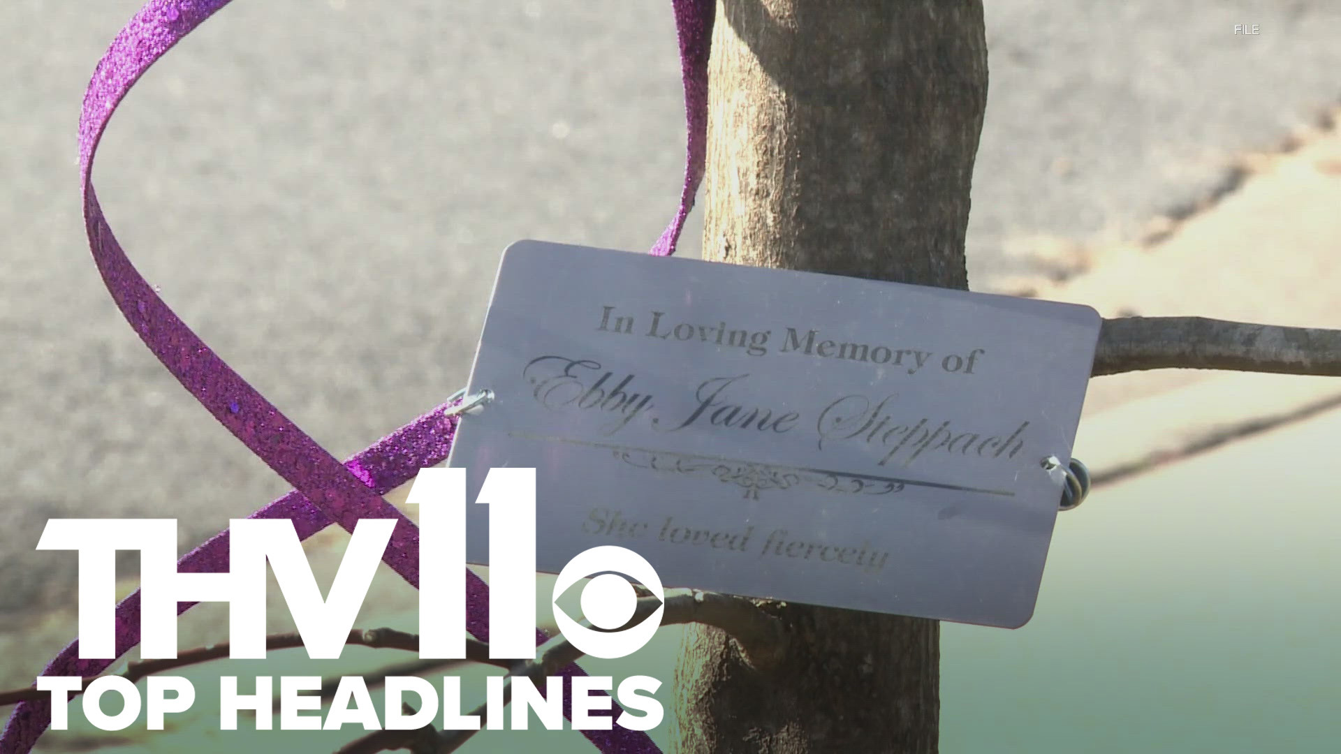 Rockefeller Center reveals this year's Christmas Tree selection | thv11.com