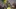 Here's a list of Juneteenth events in Central Arkansas | thv11.com