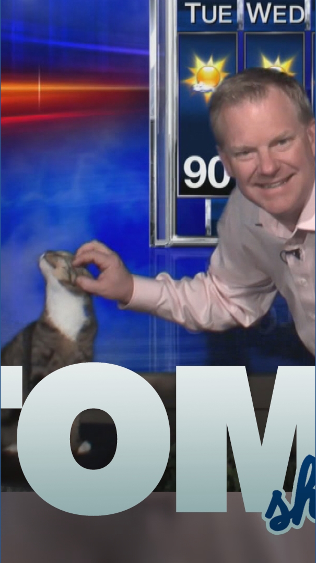 Caring for Joey and Larry the Garden Cats | The Tom Show | thv11.com