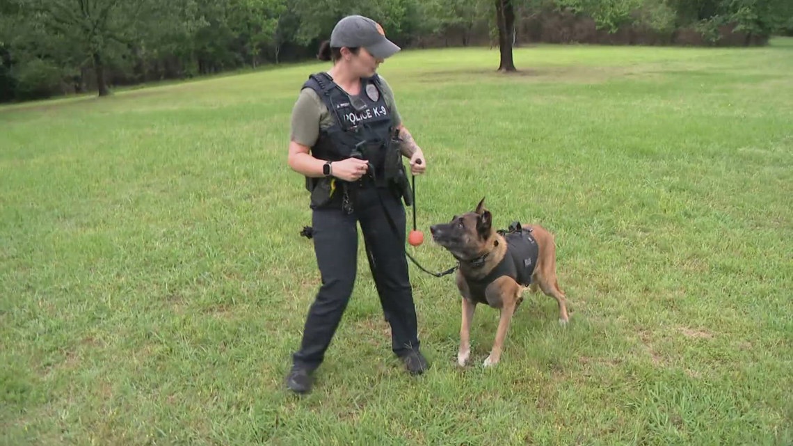 NLRPD K9 Foundation puts four-legged police on North Little Rock ...