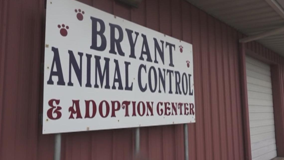 Bryant Animal Control searching for dog involved in biting incident ...