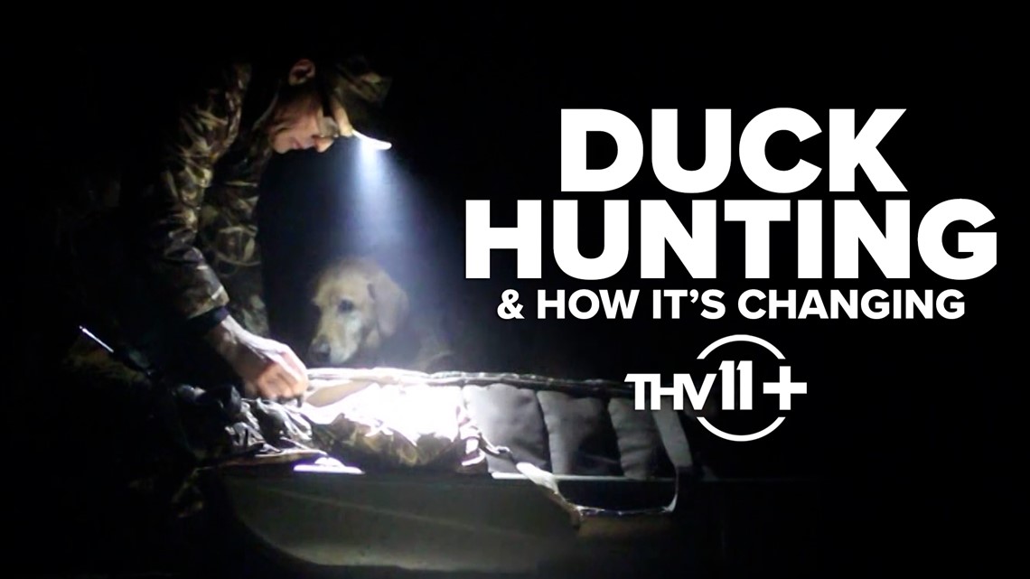 The changing nature of duck hunting | THV11+ | thv11.com