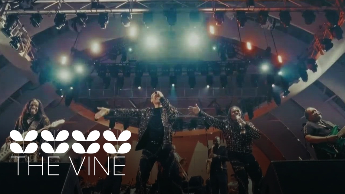 The Vine | thv11.com