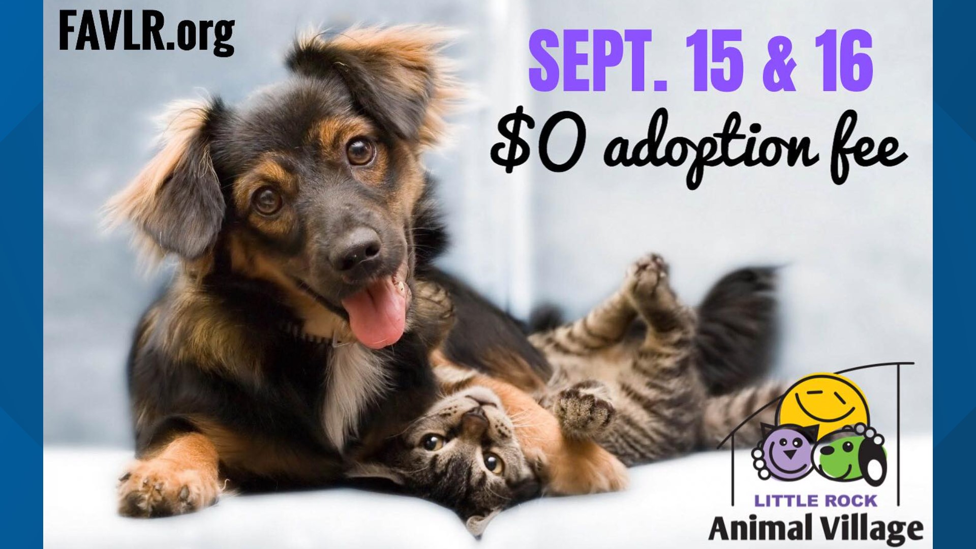 Free adoptions this weekend at Little Rock Animal Village | thv11.com