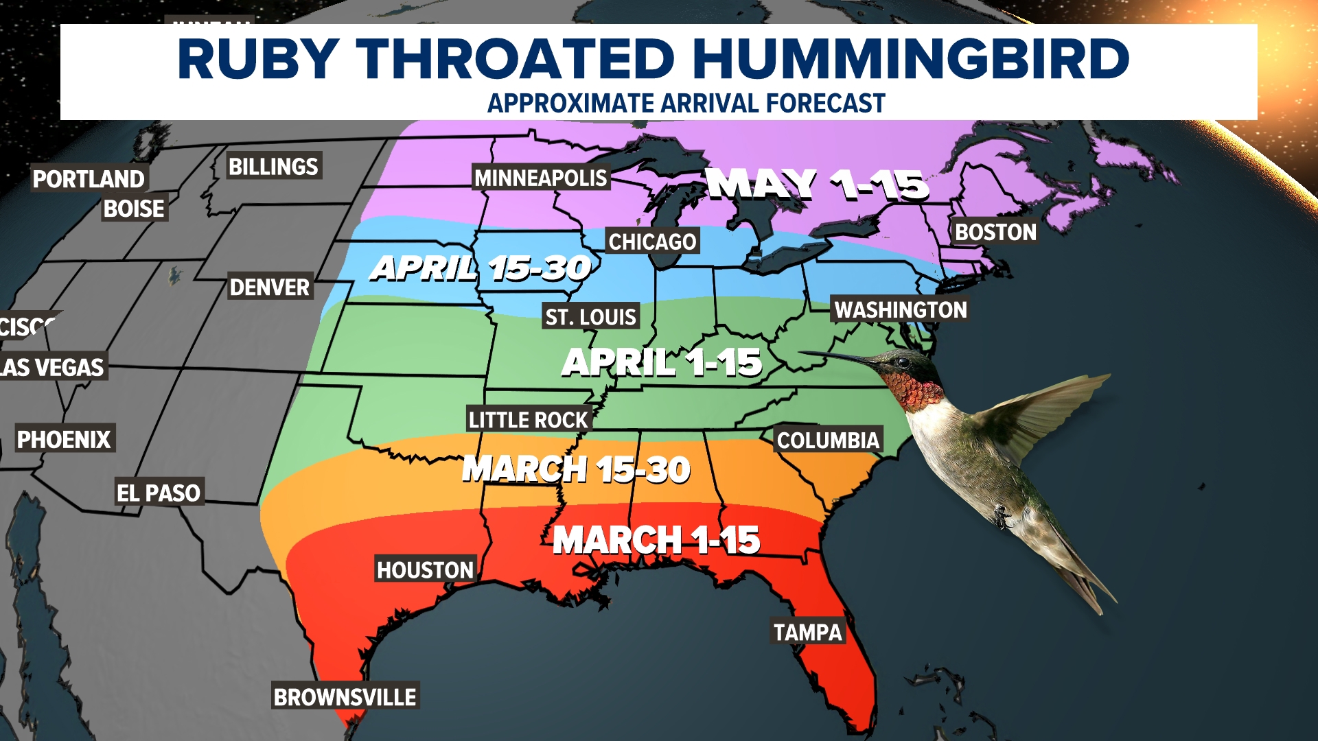 Ruby-throated Hummingbirds to return to Arkansas this spring | thv11.com