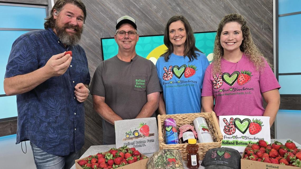 Local farm shares insight on strawberry season in Arkansas | thv11.com
