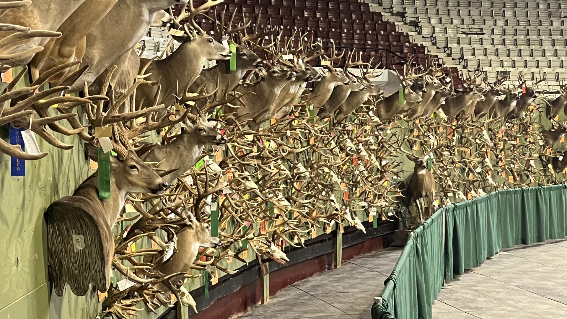 Arkansas Big Buck Classic returns for 36th year | thv11.com