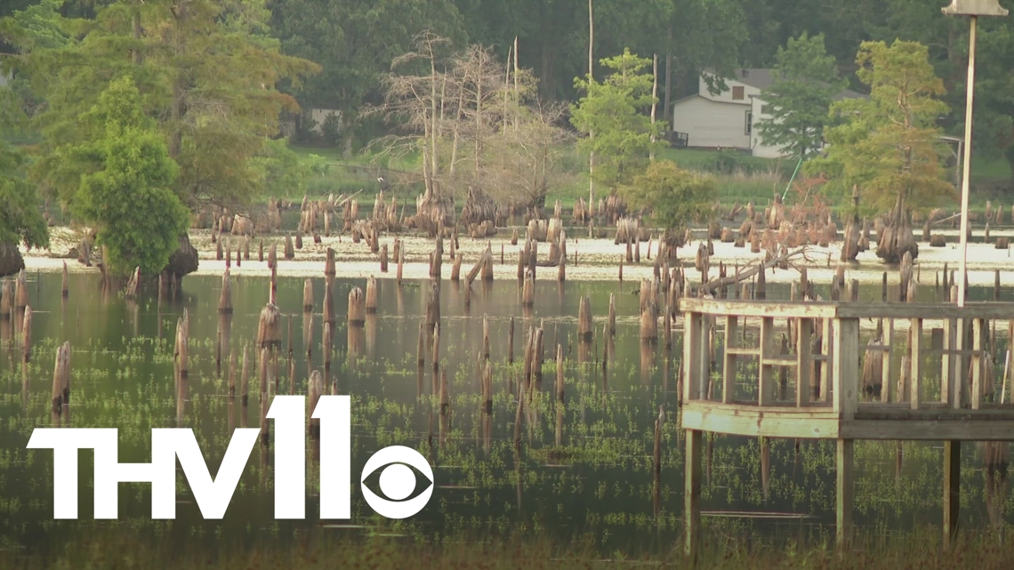 Arkansas Game & Fish provides update on Lake Conway renovations | thv11.com