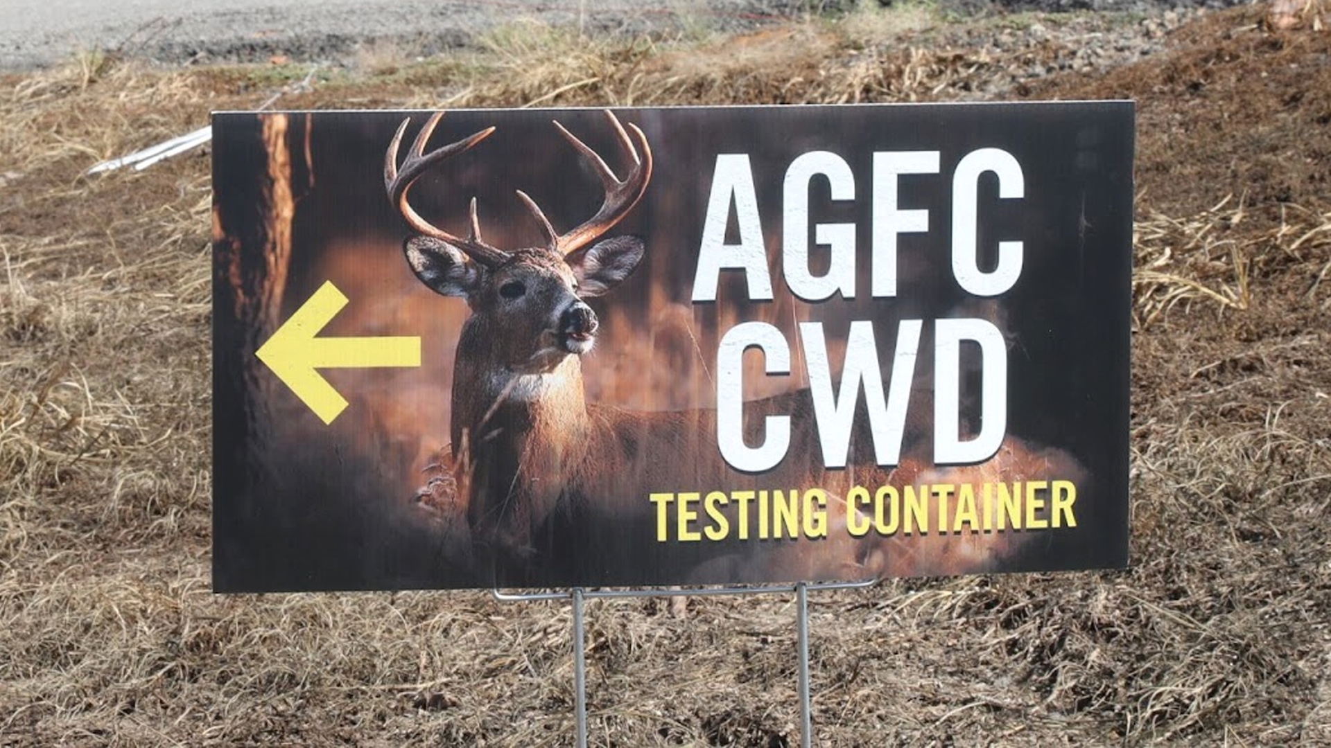 CWD detected by AGFC in Baxter & Cleburne counties | thv11.com