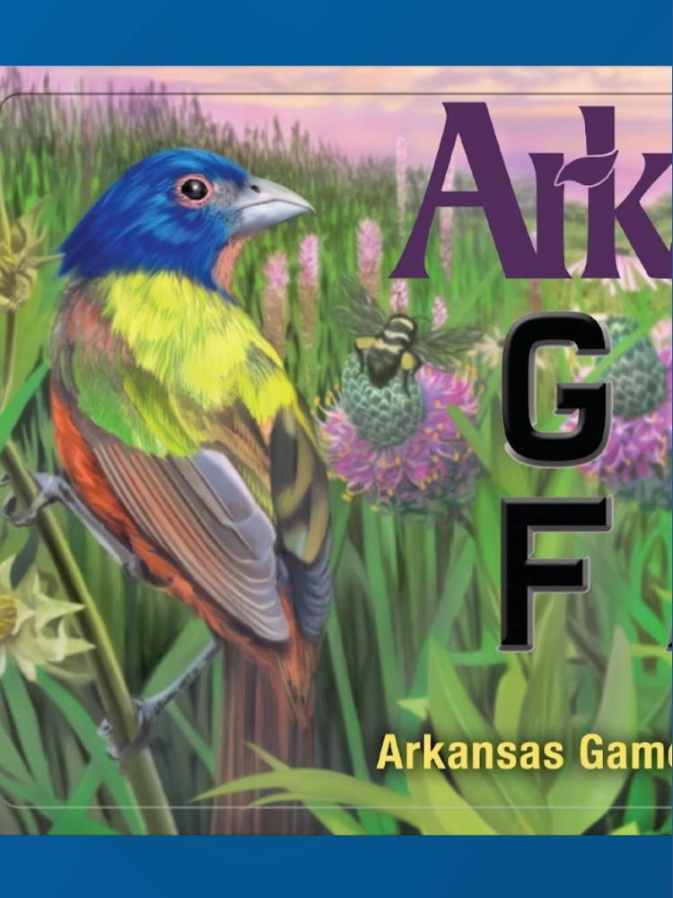 Arkansas Game & Fish Commission reveals new 2026 license plate design ...