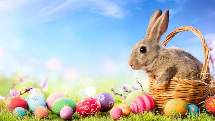Where to celebrate Easter, spring events in Central Arkansas | thv11.com